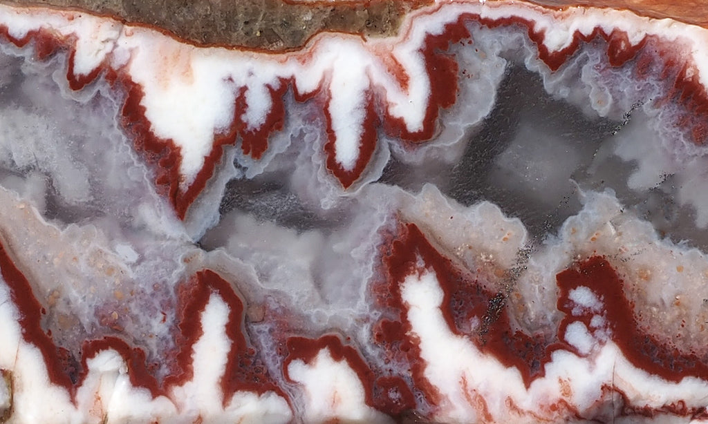 Forest Fire Plume Agate Rock Slab 46 – DD Rocks