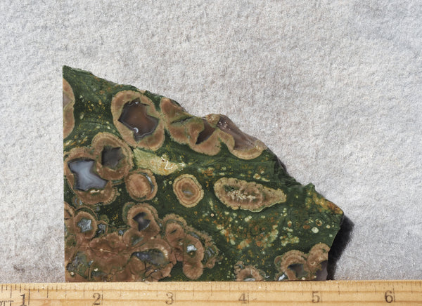 Rainforest Jasper Rock Slab 77 – DD Rocks