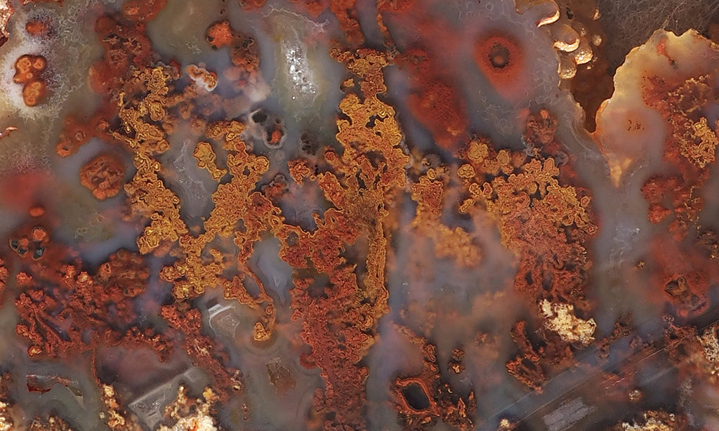 Woodward Ranch Plume Agate Rock Slab 99 – DD Rocks