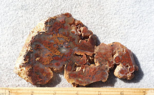 Woodward Ranch Plume Agate Rock Slab 99 – DD Rocks