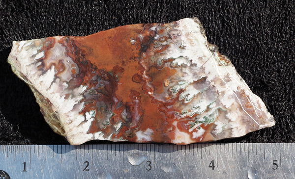Curiosity Shop Rock Slab 457 – DD Rocks