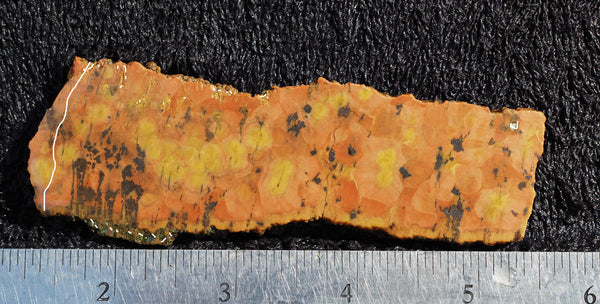 Tiger Tail Rock Slab 84 – DD Rocks