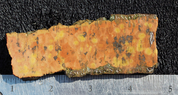Tiger Tail Rock Slab 83 – DD Rocks