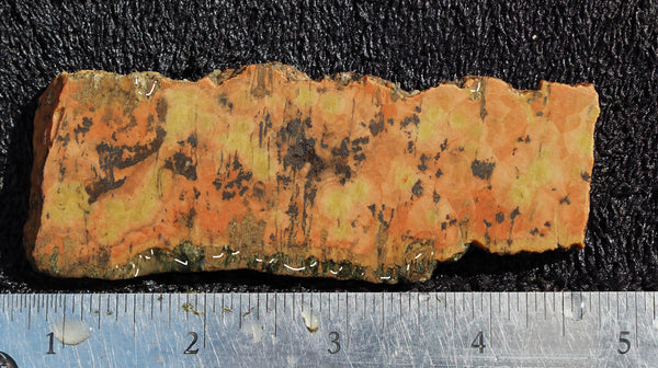 Tiger Tail Rock Slab 80 – DD Rocks