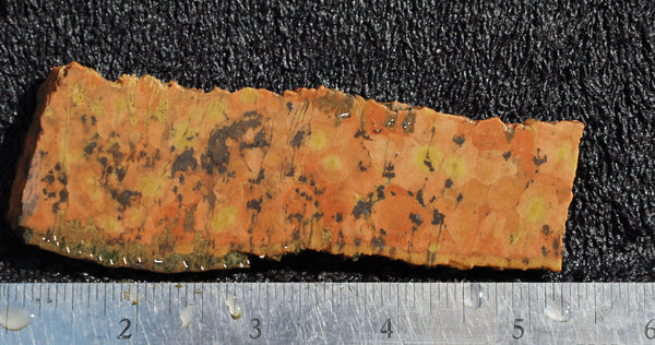 Tiger Tail Rock Slab 78 – DD Rocks