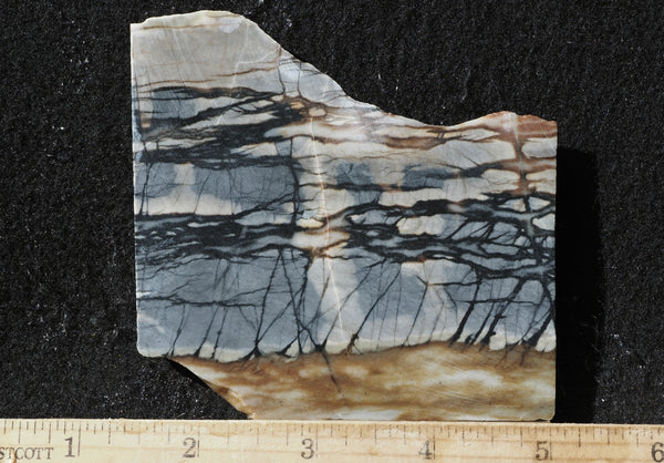 Picasso Stone Rock Slab 277 – DD Rocks
