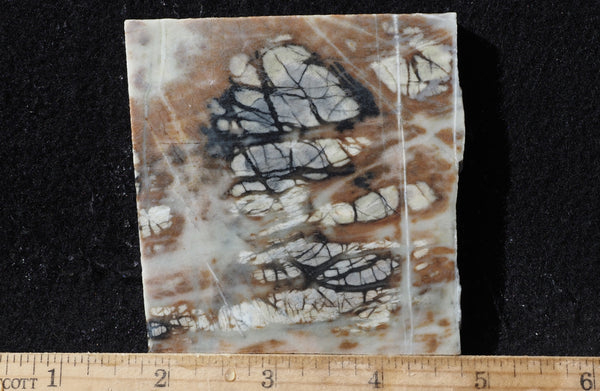 Picasso Stone Rock Slab 278 – DD Rocks