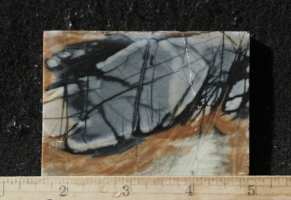 Picasso Stone Rock Slab 290 – DD Rocks