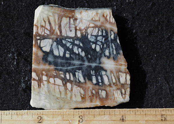 Picasso Stone Rock Slab 295 – DD Rocks
