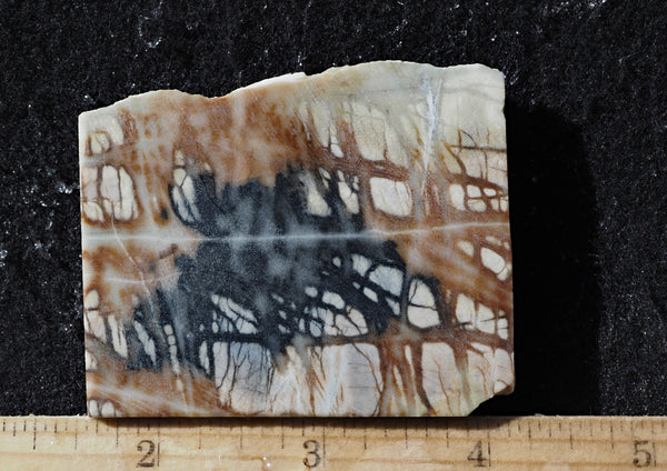 Picasso Stone Rock Slab 288 – DD Rocks