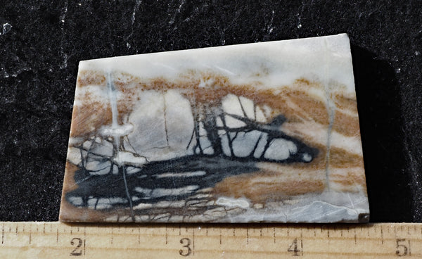 Picasso Stone Rock Slab 299 – DD Rocks