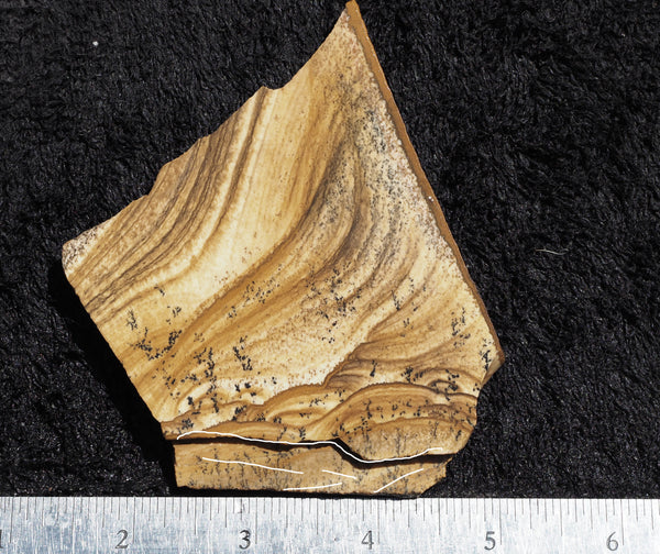 African Queen Picture Jasper Slab 30 – DD Rocks