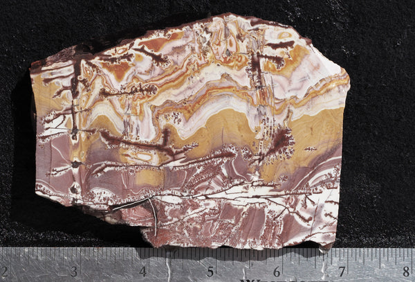 Sonoran Dendritic Rhyolite Rock Slab 476 – DD Rocks