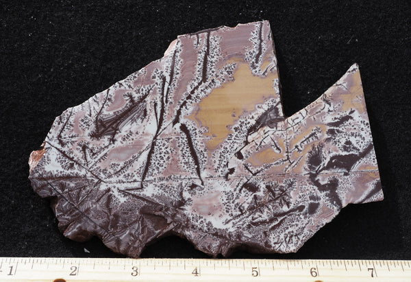 Sonoran Dendritic Rhyolite Rock Slab 474 – DD Rocks
