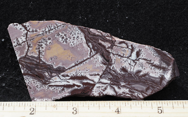Sonoran Dendritic Rhyolite Rock Slab 493 – DD Rocks