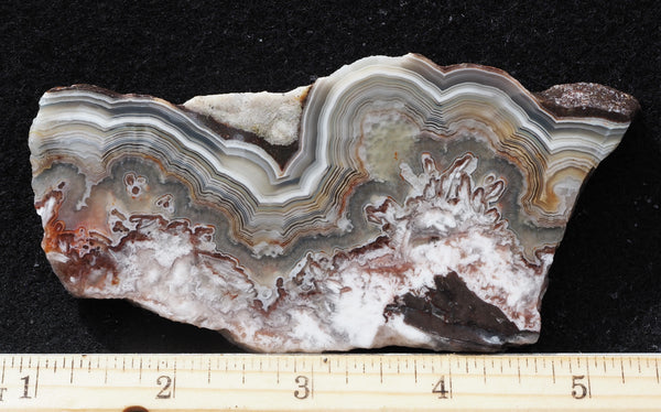 Laguna Lace Agate Rock Slab 491 – DD Rocks