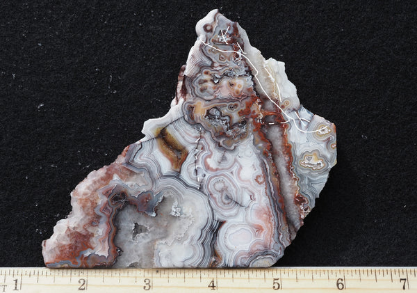 Laguna Lace Agate Rock Slab 495 – DD Rocks