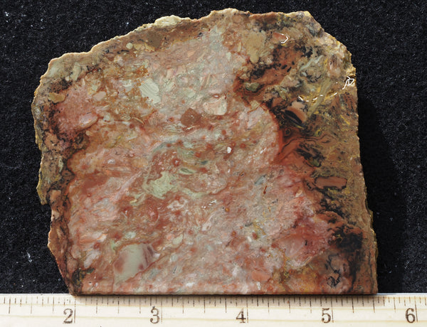 Caressite Rock Slab 193 – DD Rocks