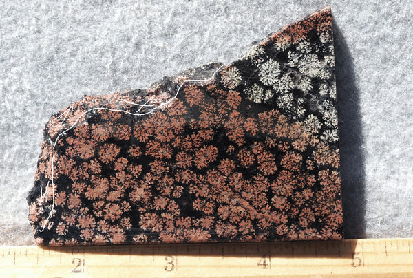 Fireworks Obsidian Slab 60 – DD Rocks