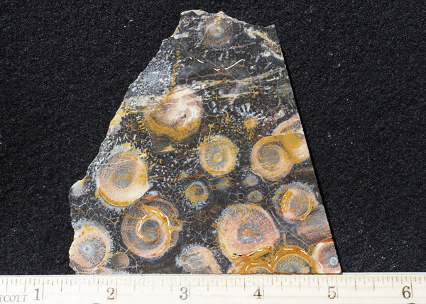 Galaxy Rhyolite Slab 257 – DD Rocks