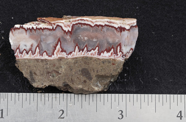 Forest Fire Plume Agate Rock Slab 3 – DD Rocks