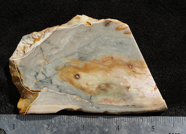 Larsonite Slab 31 – DD Rocks