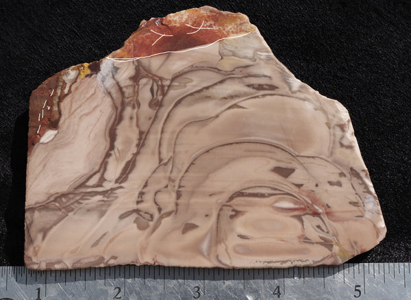 Willow Creek Jasper Rock Slab 872 – DD Rocks