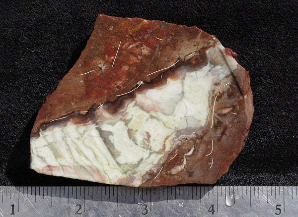 Willow Creek Jasper Rock Slab 032 – DD Rocks