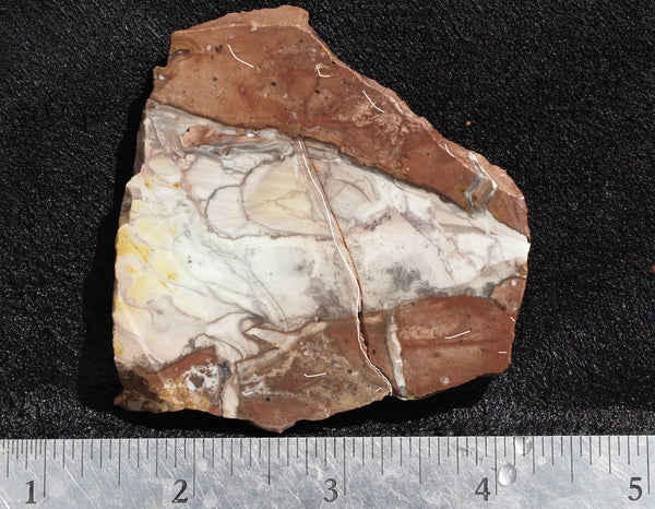 Willow Creek Jasper Rock Slab 0504 – DD Rocks