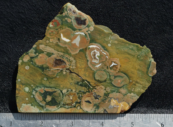 Rainforest Jasper Rock Slab 87 – DD Rocks