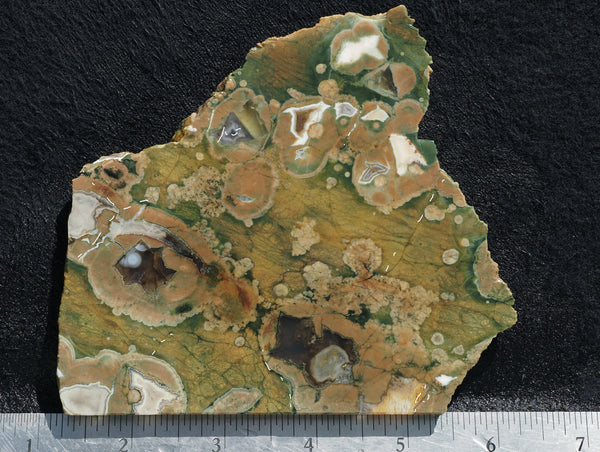 Rainforest Jasper Rock Slab 81 – DD Rocks