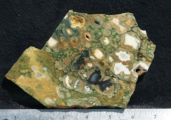 Rainforest Jasper Rock Slab 85 – DD Rocks