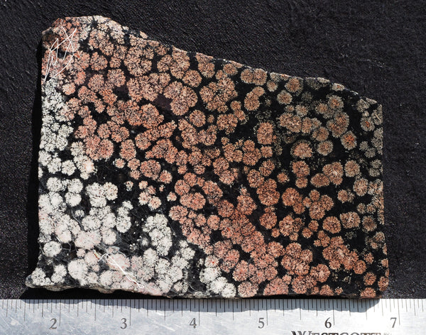 Fireworks Obsidian Slab 89 – DD Rocks