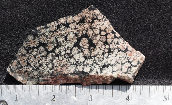 Fireworks Obsidian Slab 79 – DD Rocks