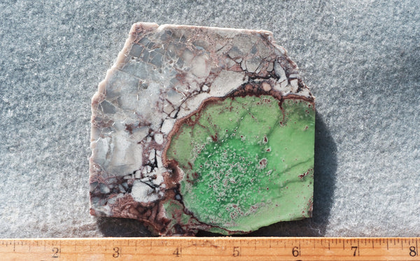 Variscite Rock Slab 293 – DD Rocks
