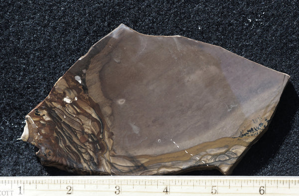 Biggs Jasper Rock Slab 489 – DD Rocks