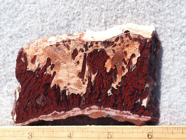Cady Mountain Rock Slab 196 – DD Rocks
