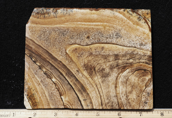 African Queen Picture Jasper Rock Slab 290 – DD Rocks