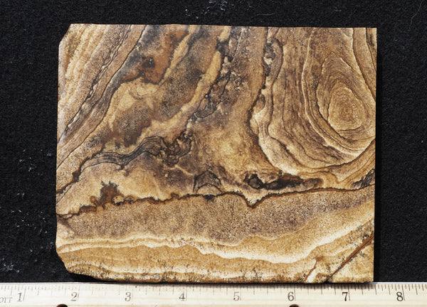 African Queen Picture Jasper Rock Slab 282 – DD Rocks