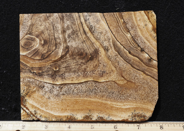 African Queen Picture Jasper Rock Slab 283 – DD Rocks