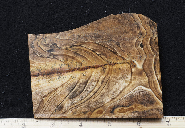 African Queen Picture Jasper Rock Slab 295 – DD Rocks