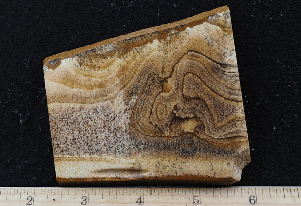 African Queen Picture Jasper Rock Slab 299 – DD Rocks