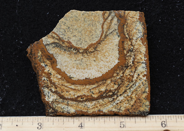 African Queen Picture Jasper 4 – DD Rocks