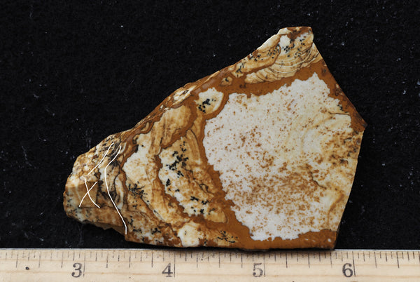 African Queen Picture Jasper 12 – DD Rocks