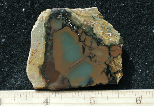 Whiskey Creek Jasper Rock Slab 186 – DD Rocks