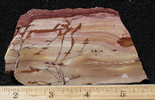 Red Falcon Jasper Rock Slab 497 – DD Rocks
