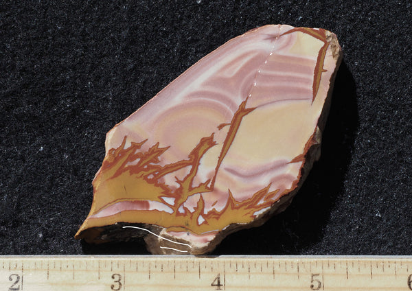 Red Falcon Jasper Rock Slab 476 – DD Rocks