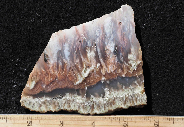 Nyssa Plume Agate Rock Slab 473 – DD Rocks