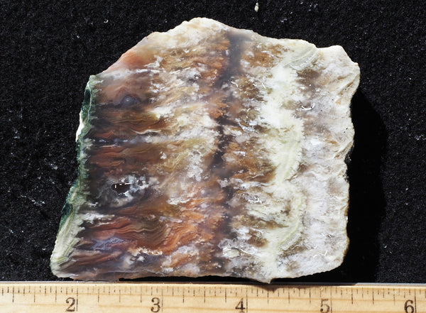 Nyssa Plume Agate Rock Slab 492 – DD Rocks