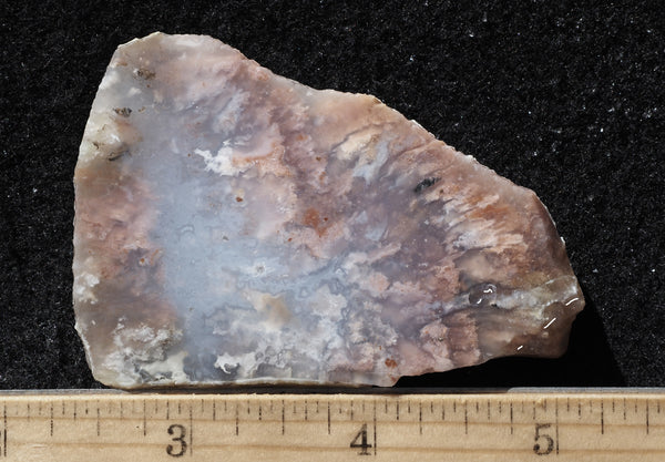 Nyssa Plume Agate Rock Slab 499 – DD Rocks